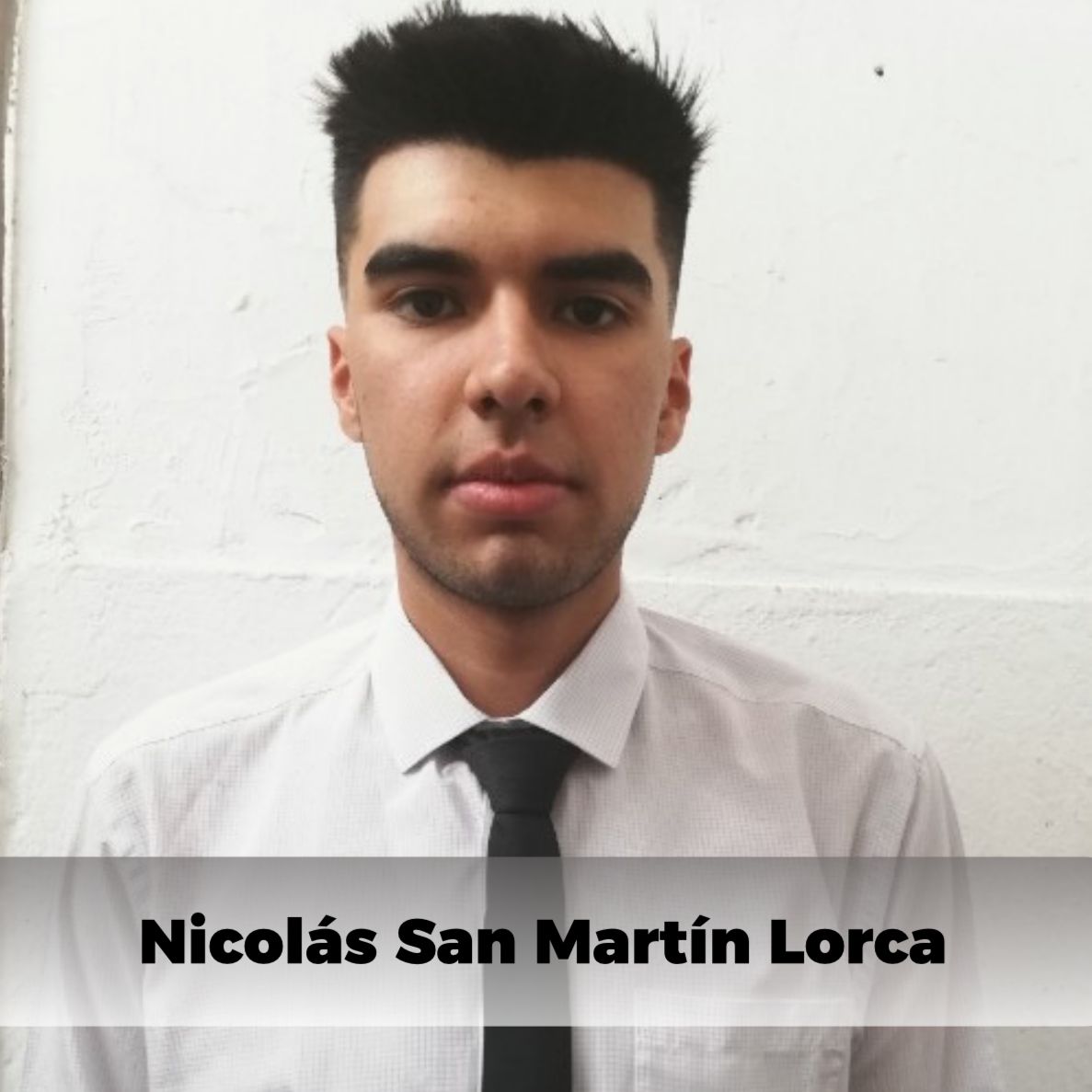 CV de Nicolás San Martín